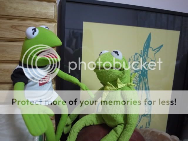 Kermit VS. Kermit | Everydaychin's Blog
